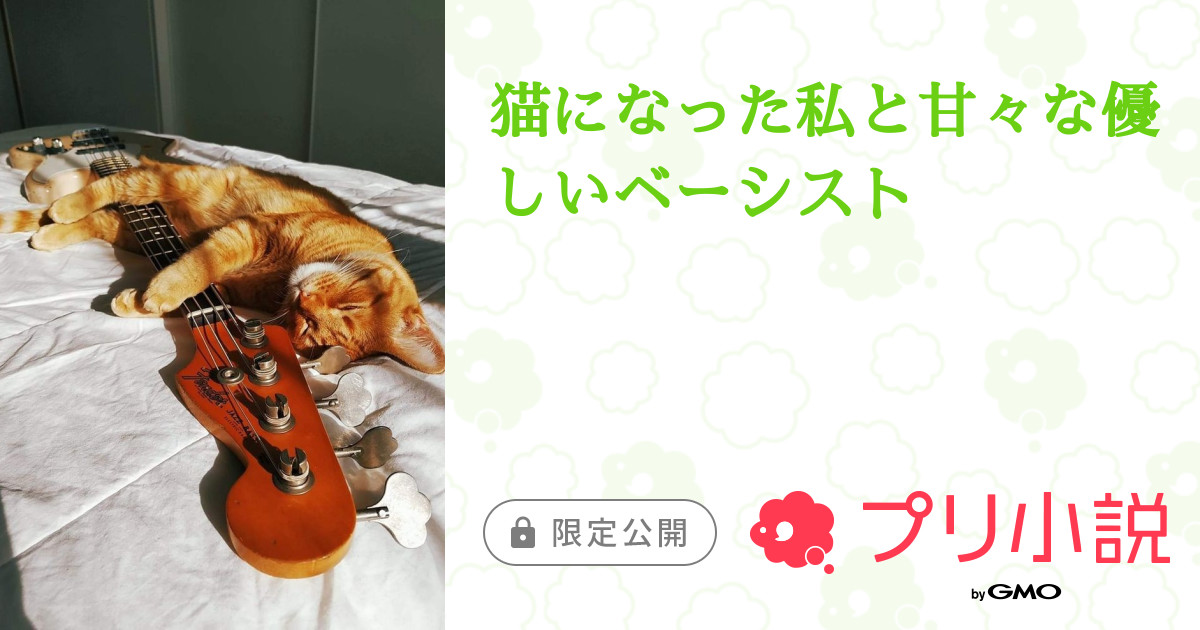 猫になった私と甘々な優しいベーシスト 【完結】（藤森さんの夢小説） 無料スマホ夢小説ならプリ小説 Bygmo